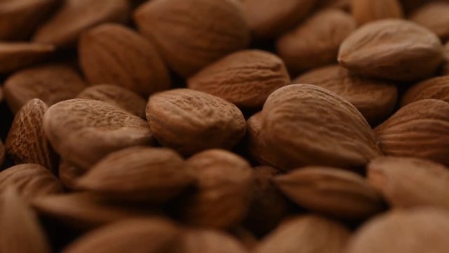 "Bitter Almond" Images – Browse 531 Stock Photos, Vectors, and Video ...