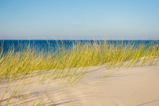 Wydmy Images – Browse 1,971 Stock Photos, Vectors, and Video | Adobe Stock