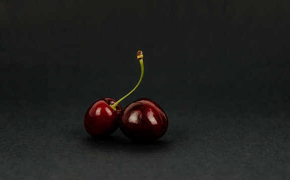 รูปภาพPesty – เลือกดูภาพถ่ายสต็อก เวกเตอร์ และวิดีโอ64 | Adobe Stock