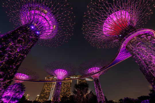 "Super Tree" Images – Browse 250 Stock Photos, Vectors, and Video ...