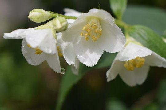 Wonny Bilder – Durchsuchen 85 Archivfotos, Vektorgrafiken und Videos ...