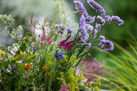รูปภาพMidsommer – เลือกดูภาพถ่ายสต็อก เวกเตอร์ และวิดีโอ307 | Adobe Stock