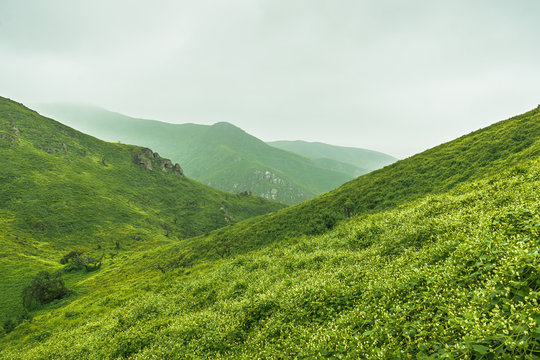 Lomas Images – Parcourir 2,835 le catalogue de photos, vecteurs et ...