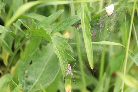 รูปภาพEkeln – เลือกดูภาพถ่ายสต็อก เวกเตอร์ และวิดีโอ184 | Adobe Stock