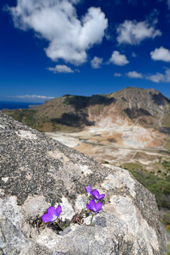Imágenes de Calderen: descubre bancos de fotos, ilustraciones, vectores ...
