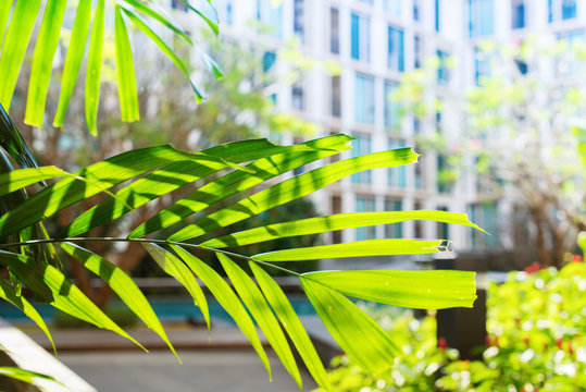 "Swim Pool" Bilder – Durchsuchen 2,196 Archivfotos, Vektorgrafiken und ...