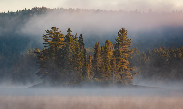 Alex Papp photos, images, assets | Adobe Stock