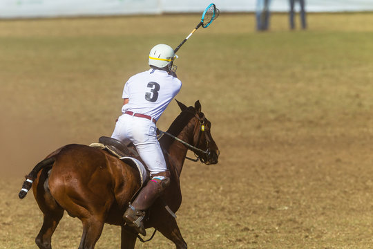 Polocrosse Images – Browse 63 Stock Photos, Vectors, and Video | Adobe ...