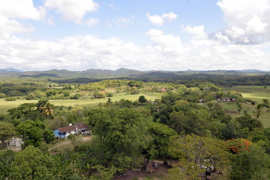 Manaca 画像 - 参照 427 Stock 写真、ベクターおよびビデオ | Adobe Stock