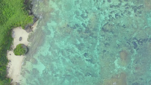 Okinawa Pattern Images – Browse 1,231 Stock Photos, Vectors, and Video | Adobe Stock