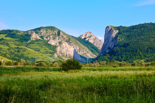 Valisoara Images – Browse 86 Stock Photos, Vectors, and Video | Adobe Stock