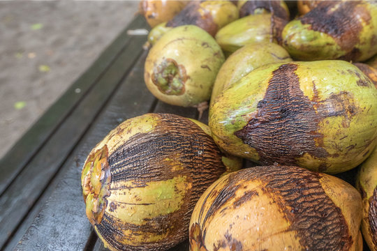 รูปภาพExocarp – เลือกดูภาพถ่ายสต็อก เวกเตอร์ และวิดีโอ2,877 | Adobe Stock