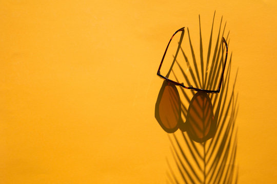 31 BEST Shadwo IMAGES, STOCK PHOTOS & VECTORS | Adobe Stock