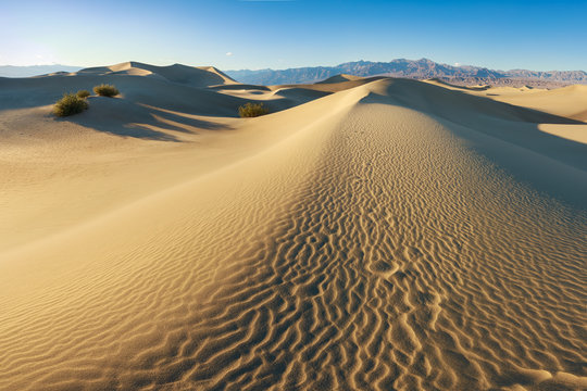 Sand-Hill bilder – Bläddra bland 912 stockfoton, vektorer och videor ...