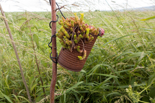 Blechtopf Bilder – Durchsuchen 777 Archivfotos, Vektorgrafiken und ...