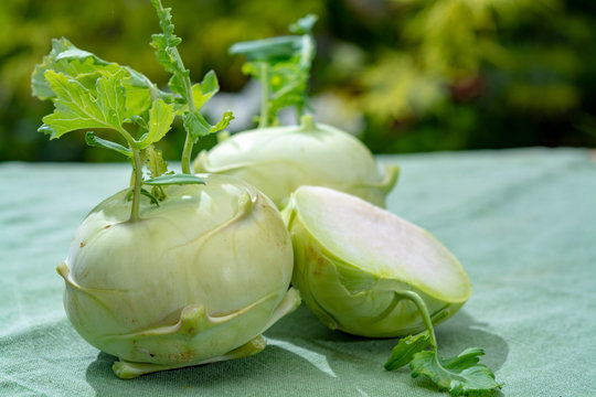 「Kohlrabies」の写真素材 | 24,477件の無料イラスト画像 | Adobe Stock