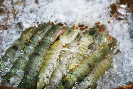 Crabfish Images – Browse 56 Stock Photos, Vectors, and Video | Adobe Stock