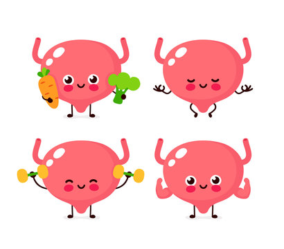cute bladder cartoon