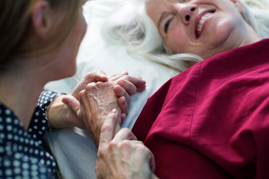 4,211,376 BEST Motherhood IMAGES, STOCK PHOTOS & VECTORS | Adobe Stock