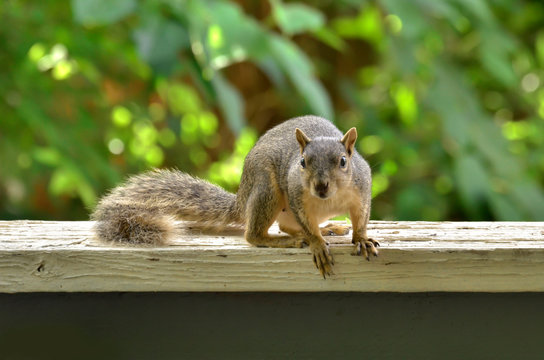 Uh-Oh Images – Browse 34 Stock Photos, Vectors, and Video | Adobe Stock