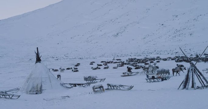 Yaranga Images – Browse 102 Stock Photos, Vectors, and Video | Adobe Stock