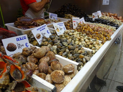 Bivalvos Bilder – Durchsuchen 535 Archivfotos, Vektorgrafiken und ...