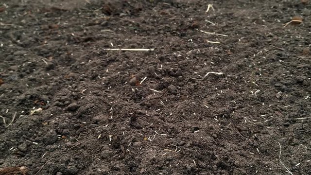 "Ground Shot" Bilder – Durchsuchen 212 Archivfotos, Vektorgrafiken und ...