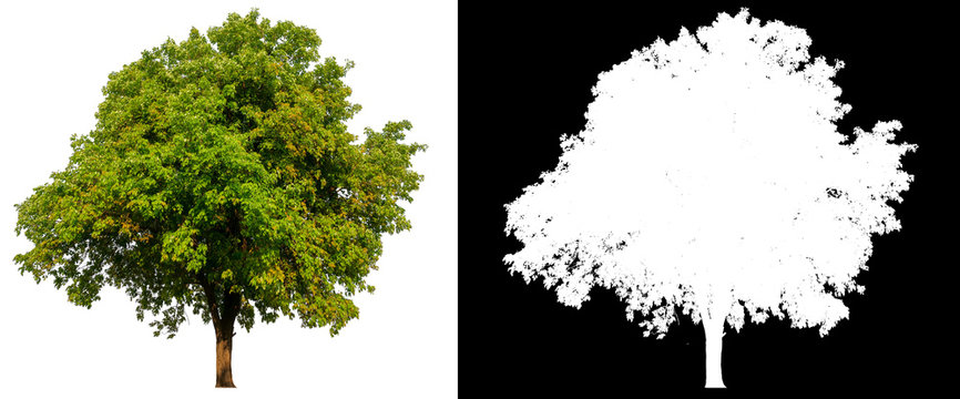 Chaned Images – Browse 40 Stock Photos, Vectors, and Video | Adobe Stock