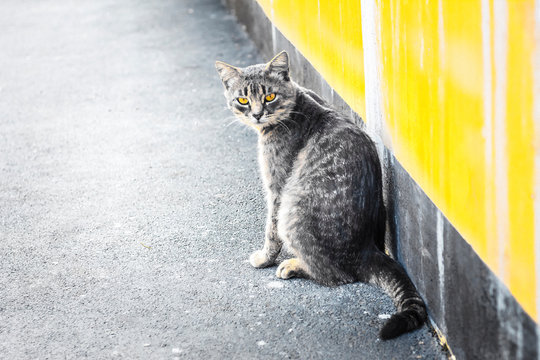 Heartlessness Bilder – Durchsuchen 170 Archivfotos, Vektorgrafiken und ...