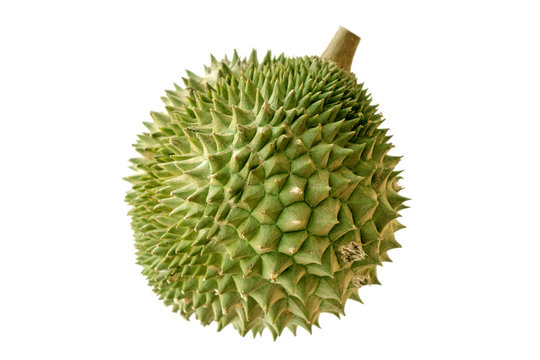 "Durian Musang King" Images – Browse 42,166 Stock Photos, Vectors, and ...