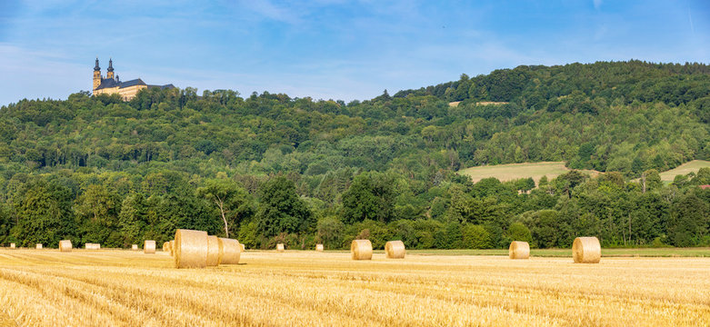Zerealien bilder – Bläddra bland 925 stockfoton, vektorer och videor ...