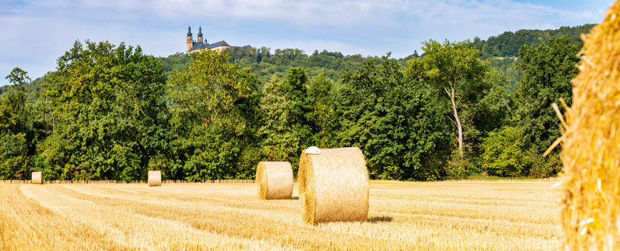 Imágenes de Zerealien: descubre bancos de fotos, ilustraciones ...