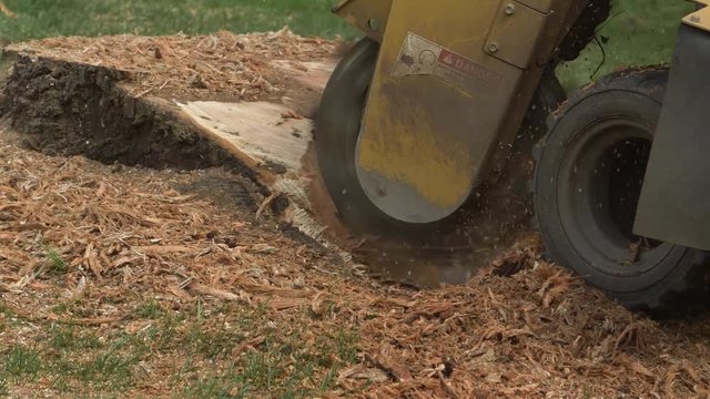 "Stump Grinder" Bilder – Durchsuchen 286 Archivfotos, Vektorgrafiken ...