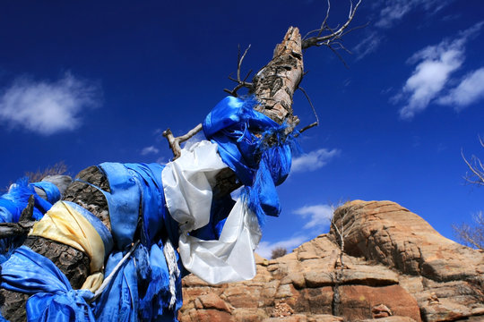 Hadag Imagens – Procure 42 fotos, vetores e vídeos | Adobe Stock