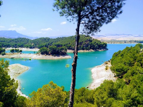 รูปภาพImgen – เลือกดูภาพถ่ายสต็อก เวกเตอร์ และวิดีโอ5 | Adobe Stock