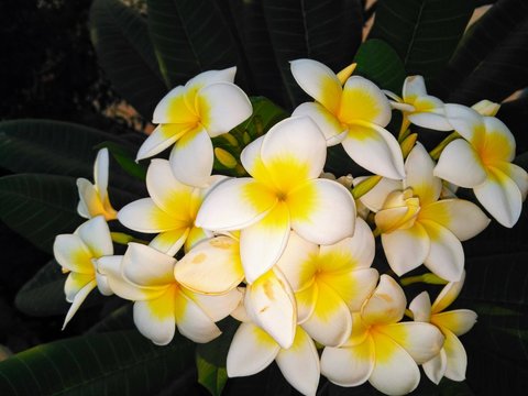 Imgen Images – Browse 7 Stock Photos, Vectors, and Video | Adobe Stock