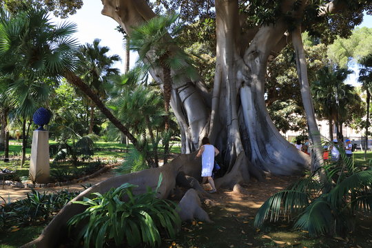 รูปภาพContrefort – เลือกดูภาพถ่ายสต็อก เวกเตอร์ และวิดีโอ748 | Adobe Stock