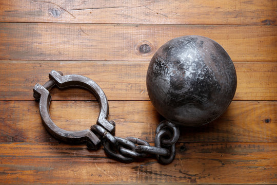 รูปภาพCaptivity – เลือกดูภาพถ่ายสต็อก เวกเตอร์ และวิดีโอ143,135 | Adobe ...