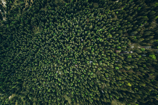 รูปภาพ"See – เลือกดูภาพถ่ายสต็อก เวกเตอร์ และวิดีโอ3,720,203 | Adobe Stock