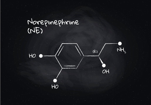 รูปภาพNorepinephrine – เลือกดูภาพถ่ายสต็อก เวกเตอร์ และวิดีโอ1,295 ...