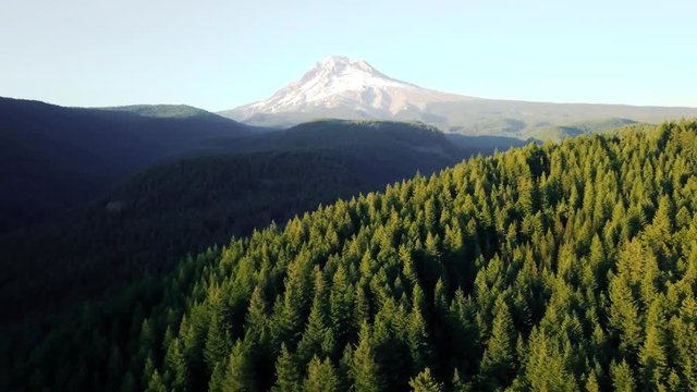 "Mountain Forest Landscape" Images – Browse 97 Stock Photos, Vectors ...
