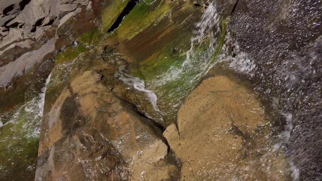 Roady Bilder – Durchsuchen 80 Archivfotos, Vektorgrafiken und Videos ...