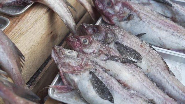 รูปภาพJacopever – เลือกดูภาพถ่ายสต็อก เวกเตอร์ และวิดีโอ21 | Adobe Stock