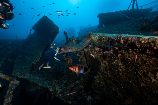 NEJLEPŠÍ (CELKEM 918) OBRÁZKY, FOTKY A VEKTOROVÉ GRAFIKY VE SLUŽBĚ ...