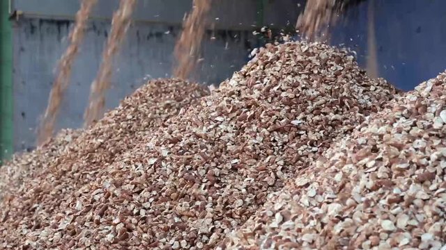 patsu photos, images, assets | Adobe Stock