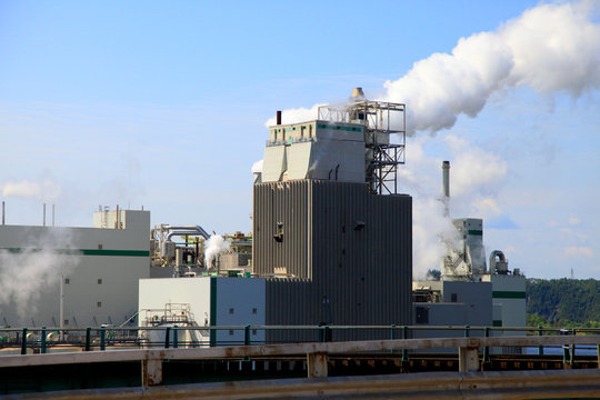 Imagens de Boucaner – Explore Fotografias do Stock, Vetores e Vídeos de ...