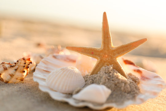 Free Beach Images – Browse 45,658 Free Stock Photos, Vectors, and Video ...