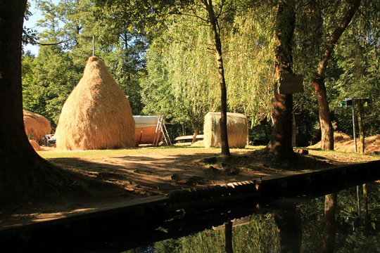 Finne Bilder – Durchsuchen 11,891 Archivfotos, Vektorgrafiken und ...