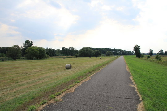「Heurolle」の写真素材 | 194件の無料イラスト画像 | Adobe Stock