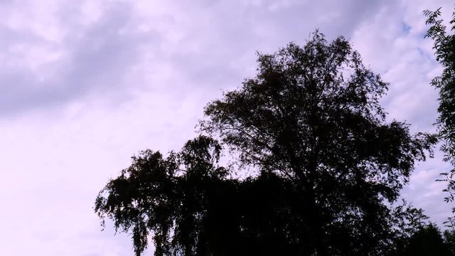 Nimbocumulus Images – Browse 6 Stock Photos, Vectors, and Video | Adobe ...